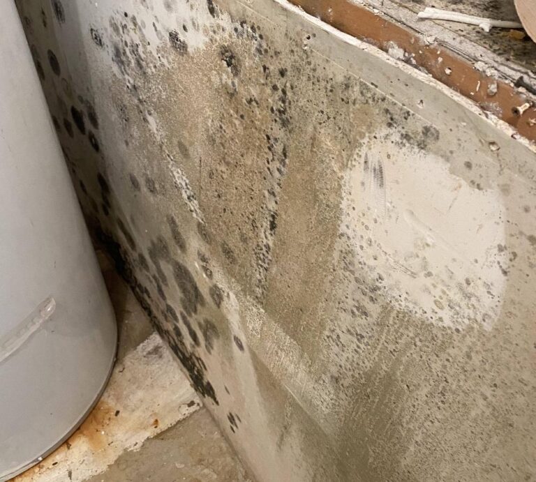 Recent Work Gallery - All Pro Restoration